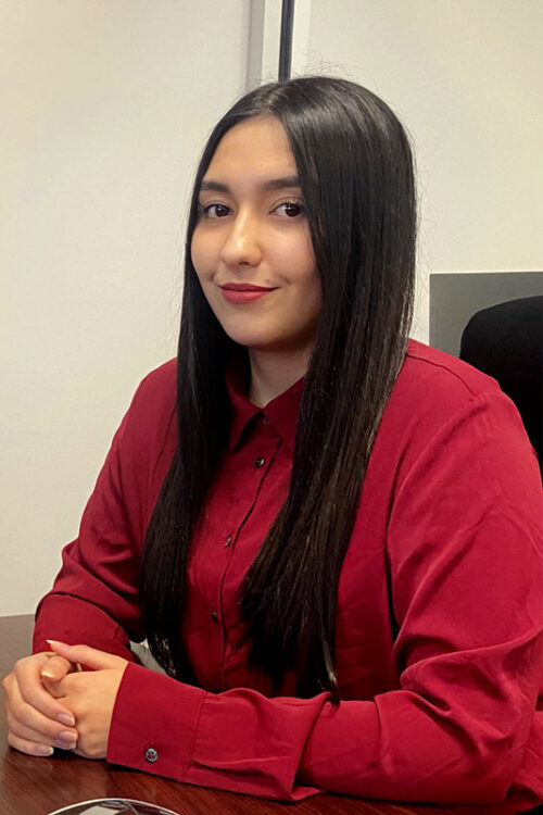 Inicio - Dafer Solutions - Dafer Business Development Solutions